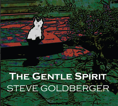 Buy now direct from Steve!!